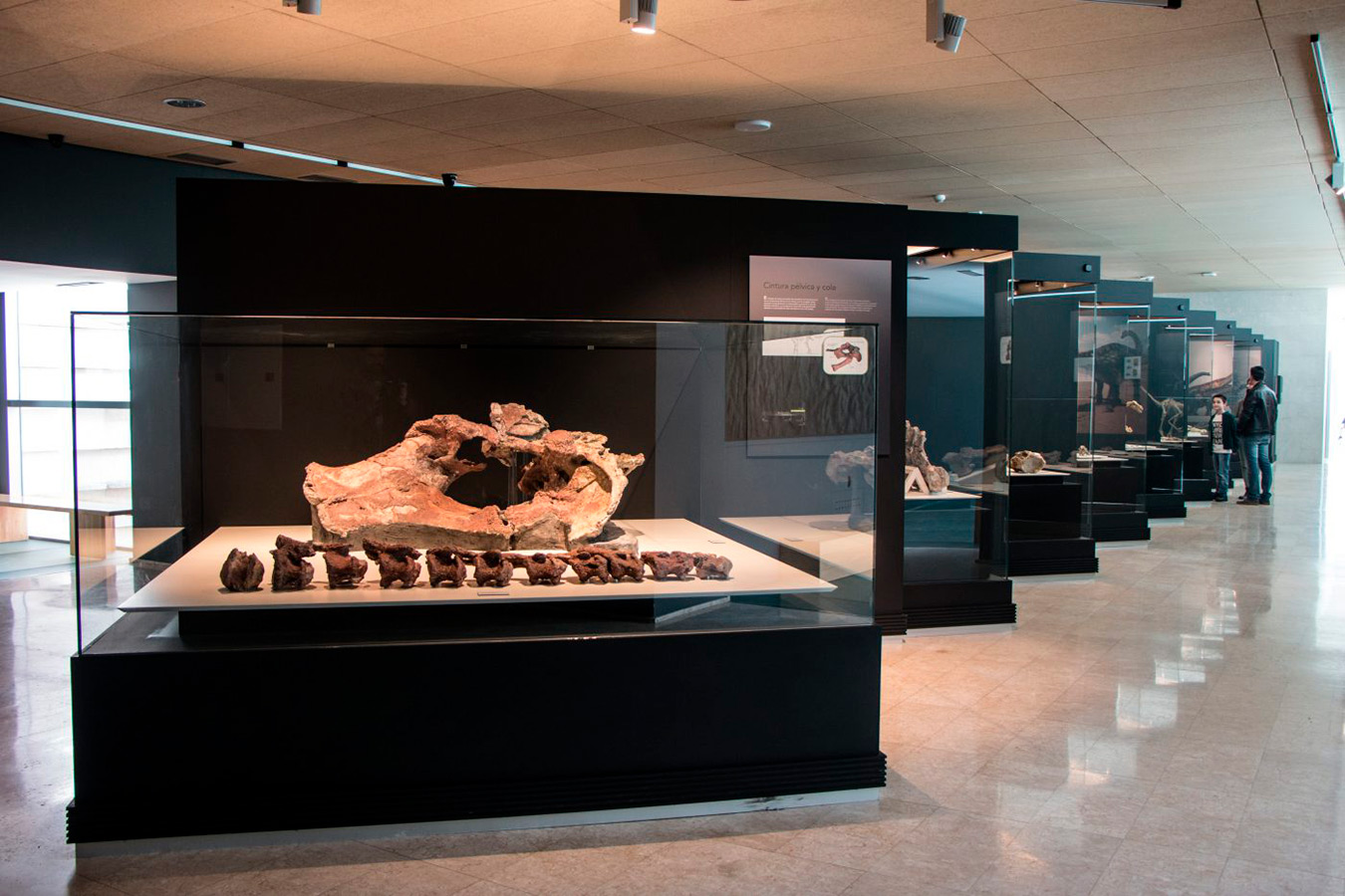 Home | Convention Bureau Cuenca